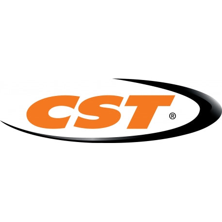 CST - CHAOYANG CAMERA ARIA 22"x1 (23-470/6) – Capobianchi